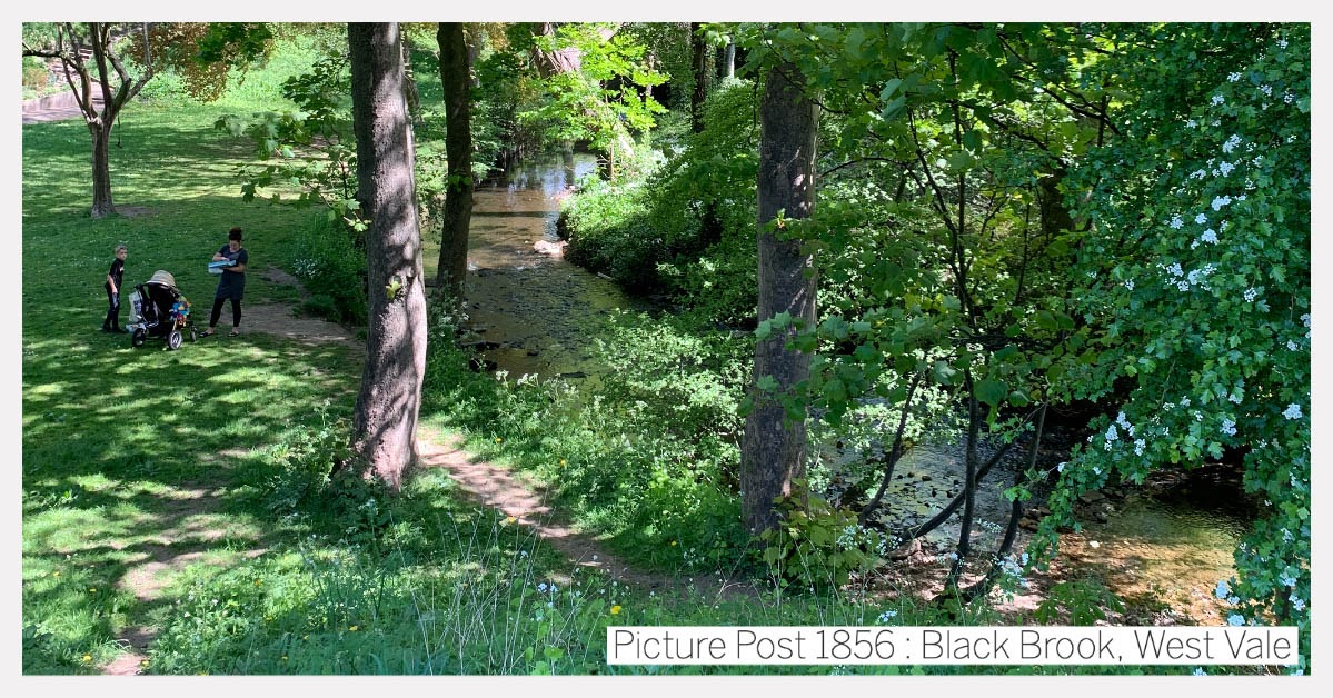 Black Brook, Green Fields – alanburnett.com