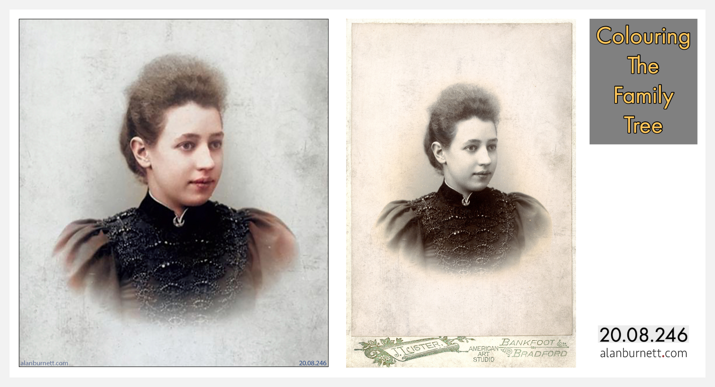 Colouring The Family Tree – alanburnett.com